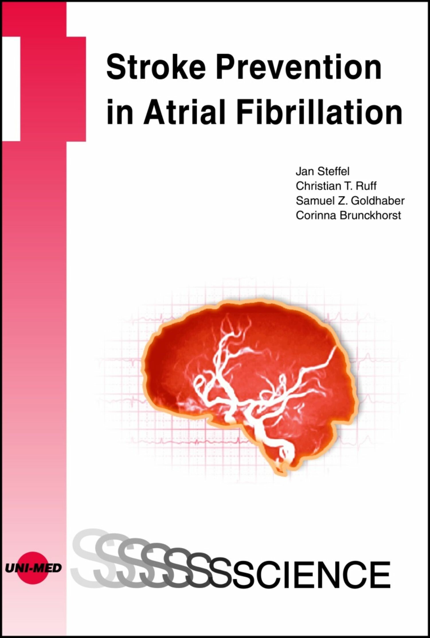 Stroke Prevention in Atrial Fibrillation - E-Book